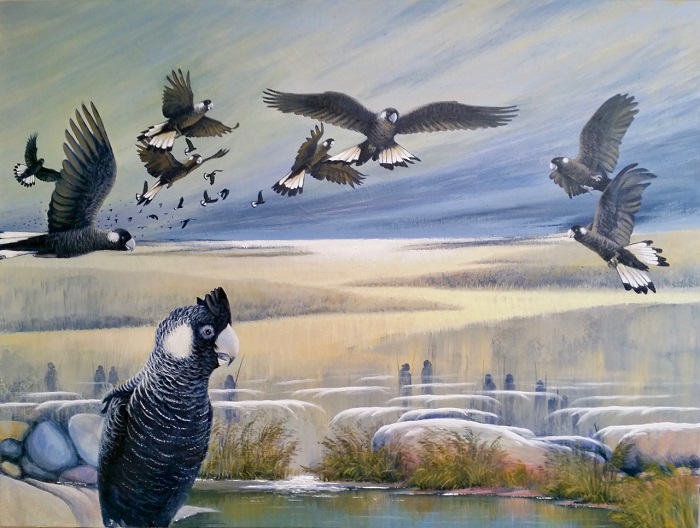 TJYLLYUNGOO/Lance Chadd: Ibelongyoubelongwebelong - Art Almanac