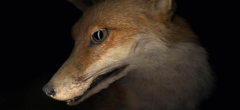 edmun_elmsjpg - Art Almanac