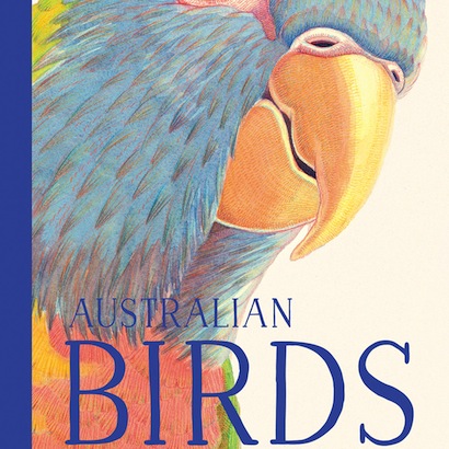 Australian Birds by Matt Chun - Art Almanac