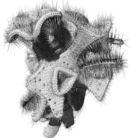 Natalie Alima, Bio scaffold - orchestrating the growth and degradation ...