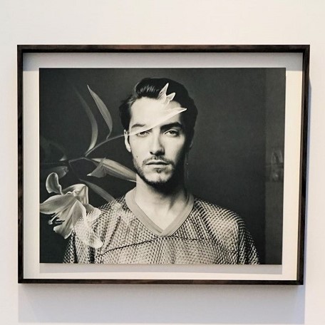 David Rosetzky, Kazim with Lilies - Art Almanac