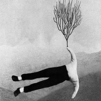 Pat Brassington: Picturing - Art Almanac