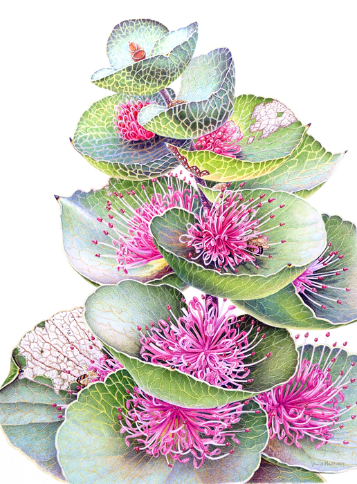 The Art of Botanical Illustration - Art Almanac