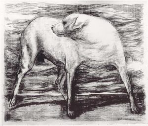 Rick Amor Drawing Award finalists announced - Art Almanac
