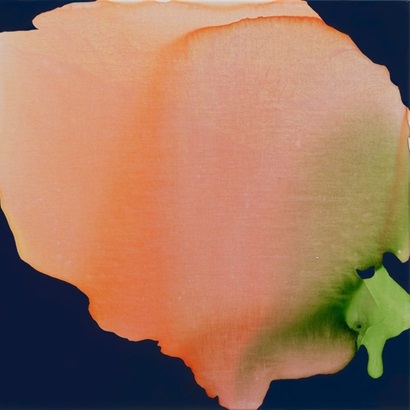 Lara Merrett: Field work - Art Almanac