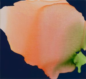 Lara Merrett: Field work - Art Almanac