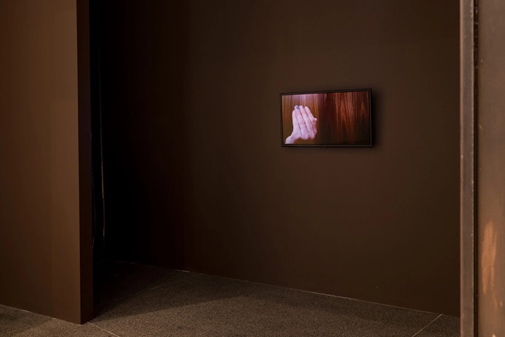 Laure Prouvost: Oui Move In You - Art Almanac